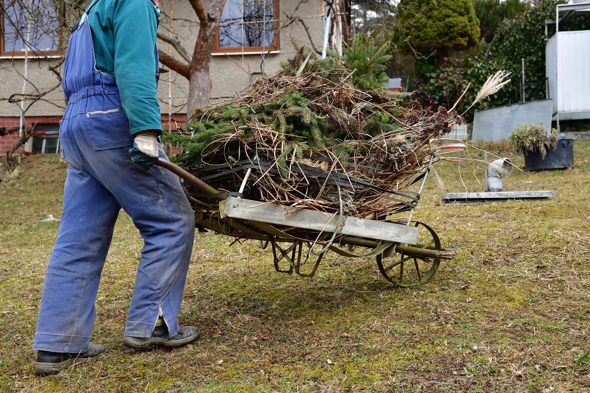 Wheaton Spring Cleanup Services | Salinas Landscaping